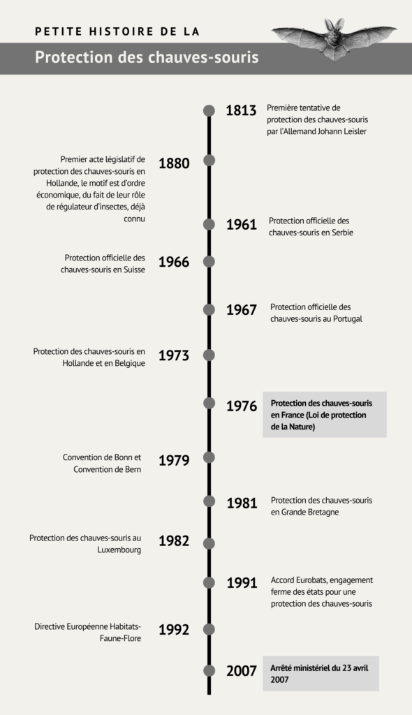 Législation et protection des chauves-souris en France